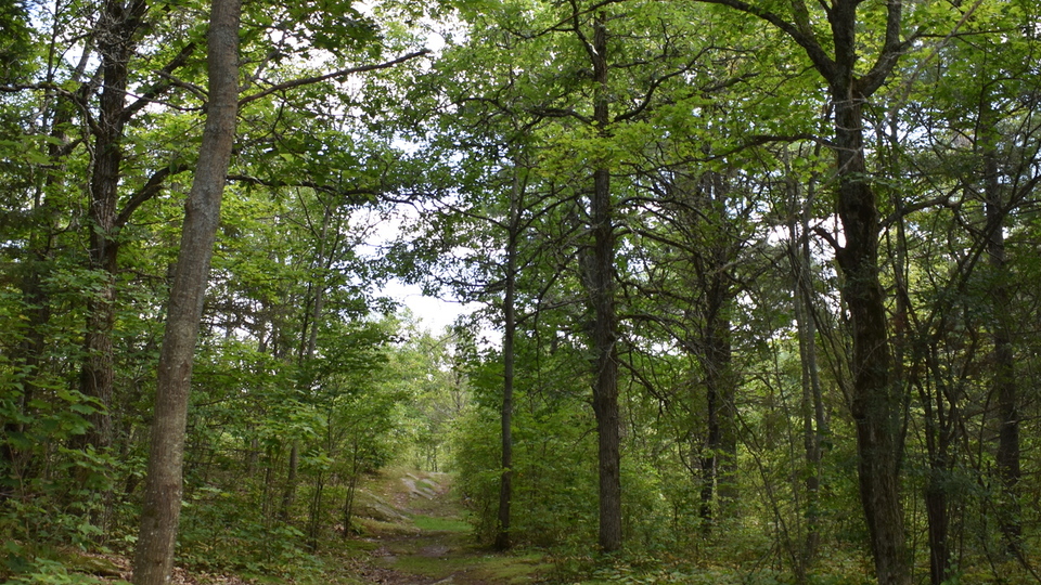 Magnetawan Area Trails - Municipality of Magnetawan