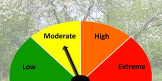Information on the Fire Danger Rating System - Municipality of Magnetawan
